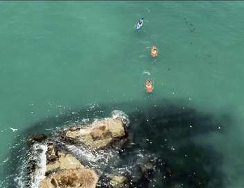 Shark Season - Téléfilm 2020 - TéléObs